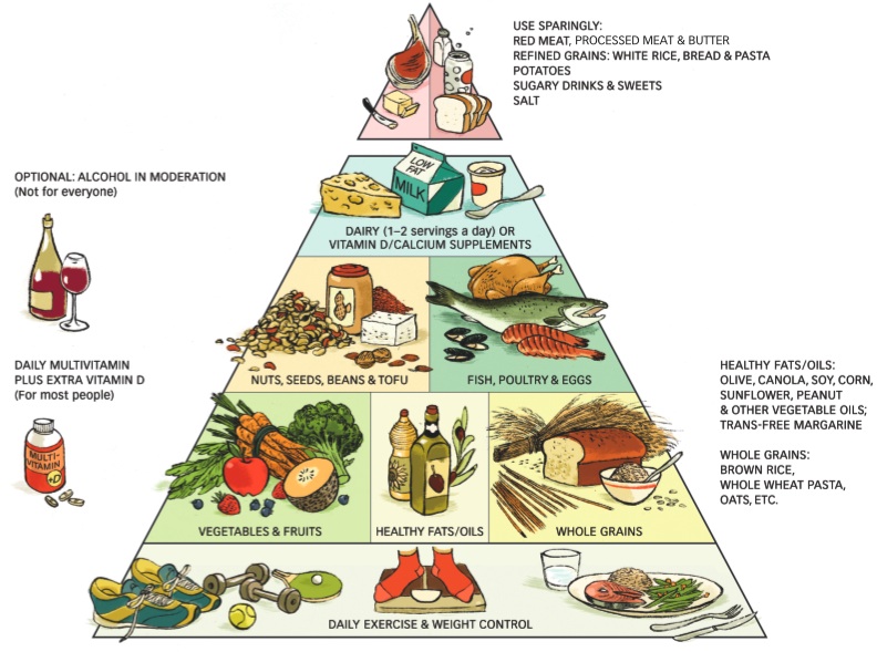 Pyramide alimentaire